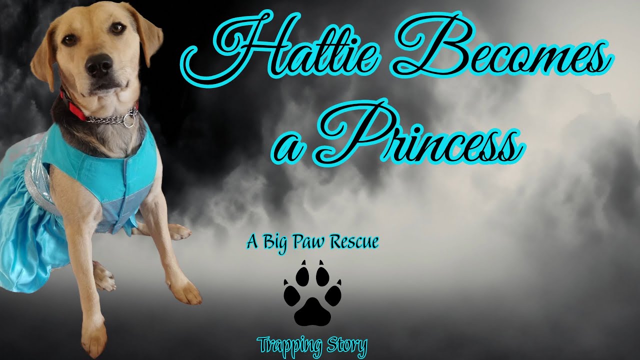 Hattie Becomes a Princess, Buffy and Hattie Pt. 1 - YouTube