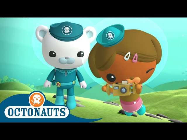 Seomra Dashi Octonauts Characters In The Octonauts TV Tropes