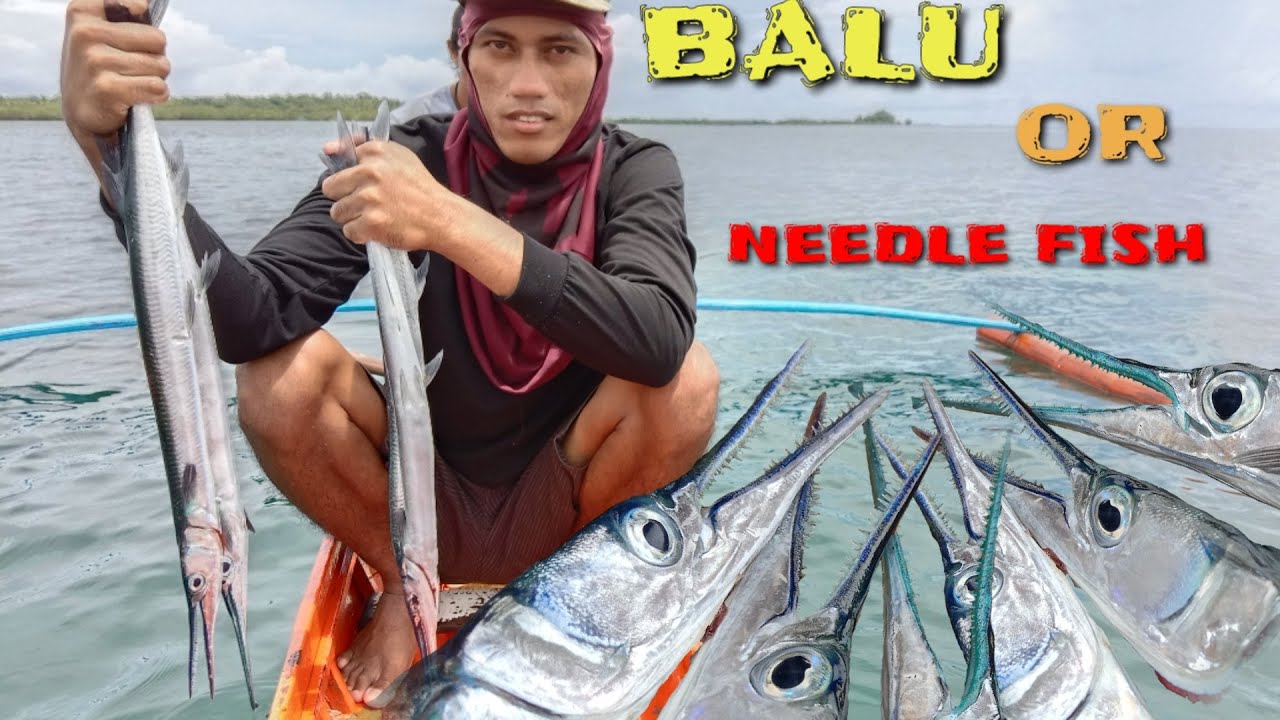 CATCHING NEEDLE FISH/ GAMIT ANG PATAW, BUHAY NA HIPON ANG PAIN - YouTube