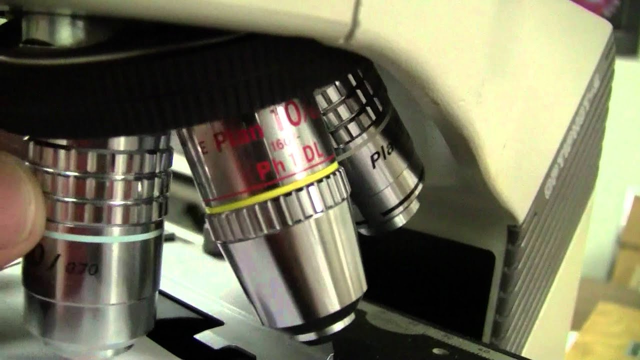 Nikon Optiphot 2 Trinocular Microscope - YouTube