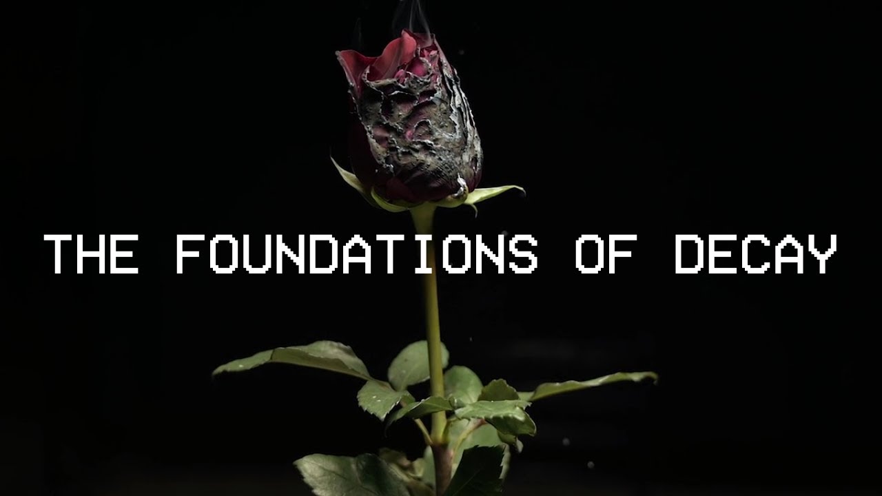 The Foundations of Decay - My Chemical Romance [Lyrics] - YouTube