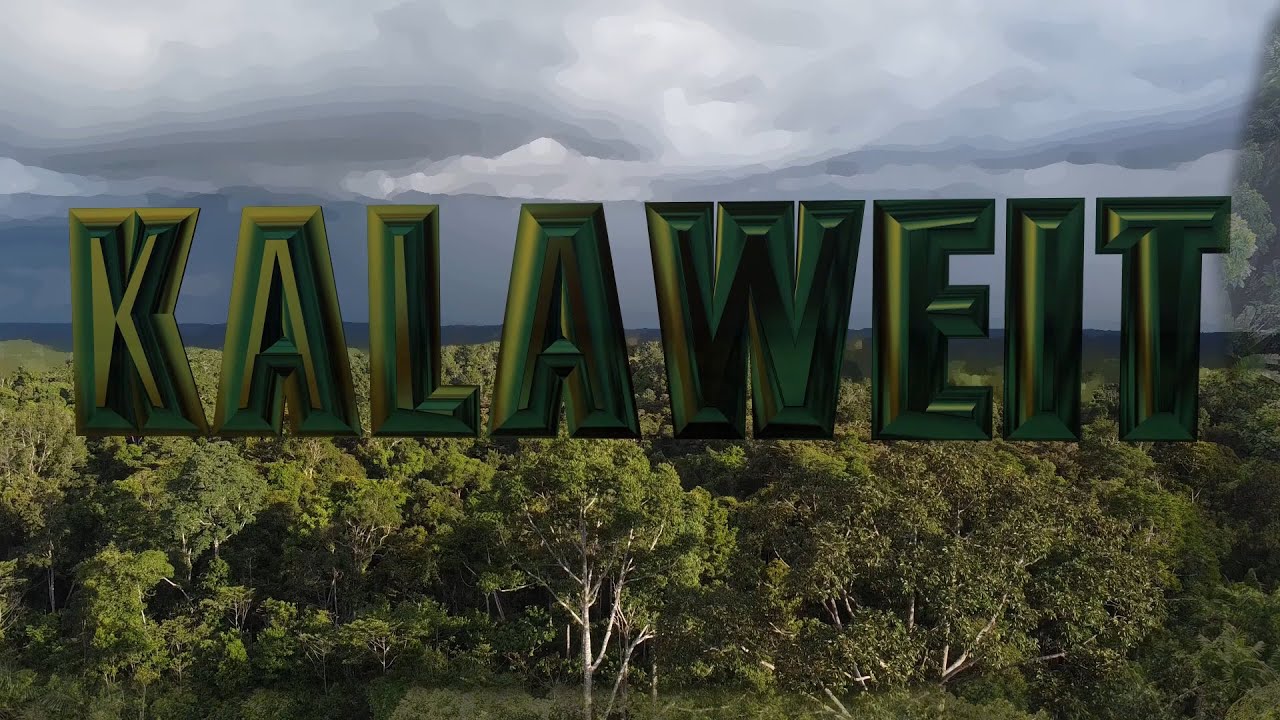 DEMI SATWA DAN HUTAN. -TRAILER di awal setiap video tentang KALAWEIT ...