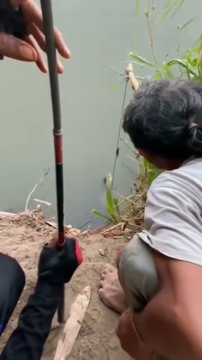 Dia yang mancing , kita yang tegang lihatnya #mancing #fishing #mancingnilademak #mancingdiwaduk ...