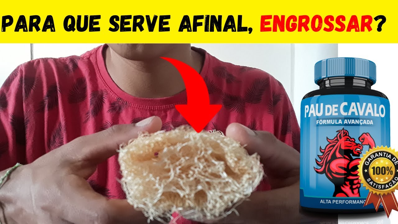 Para Que Serve O Pau De Cavalo - FDPLEARN