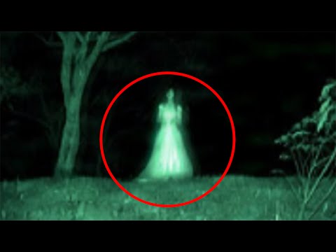 Top 15 Paranormal Creatures and Beasts