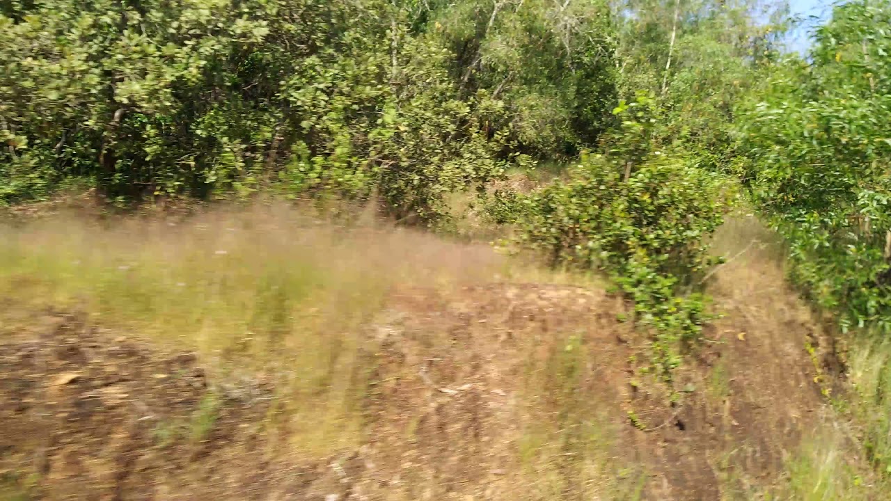 Kedoor train journey from udupi to goa - YouTube