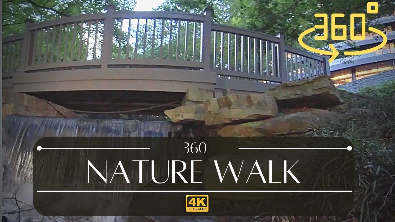 Virtual Nature 360 Walk - YouTube