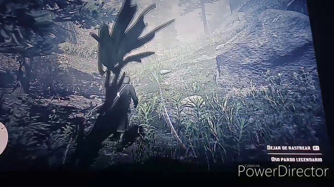 RED DEAD REDEMPTION II-CAZANDO AL OSO PARDO LEGENDARIO😲 - YouTube