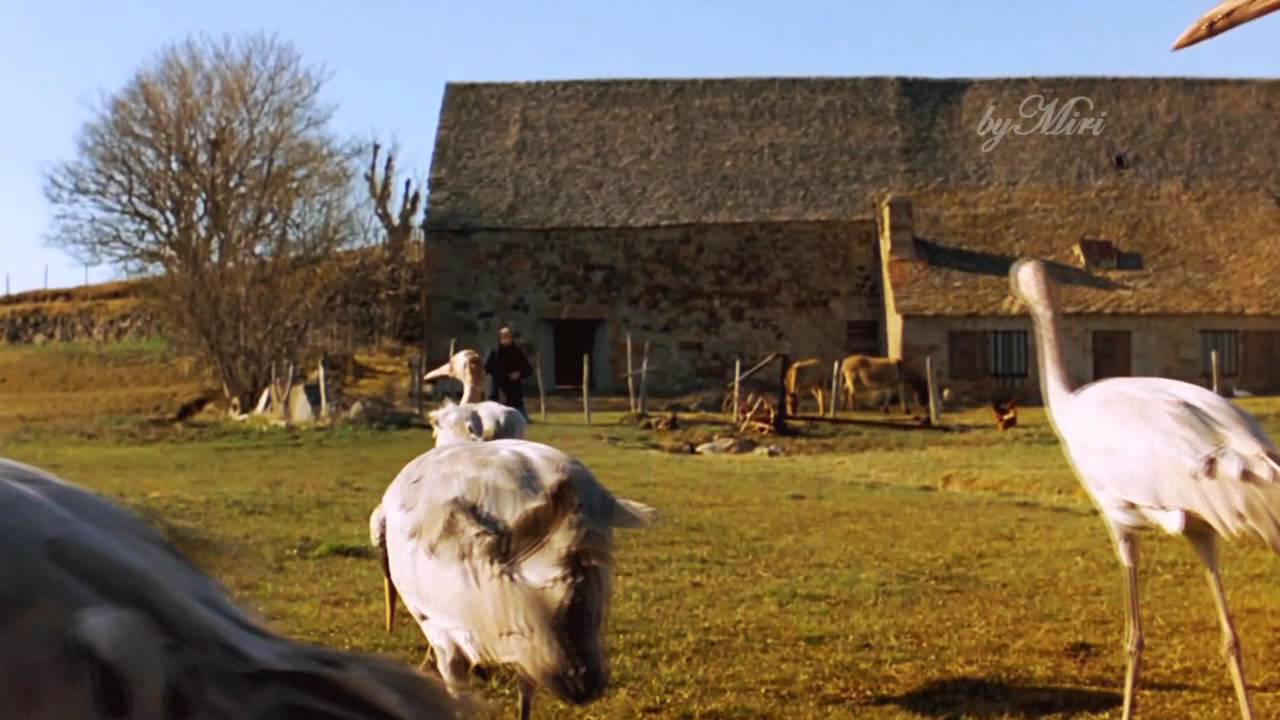 Gheorghe Zamfir - The lonely shepherd - YouTube