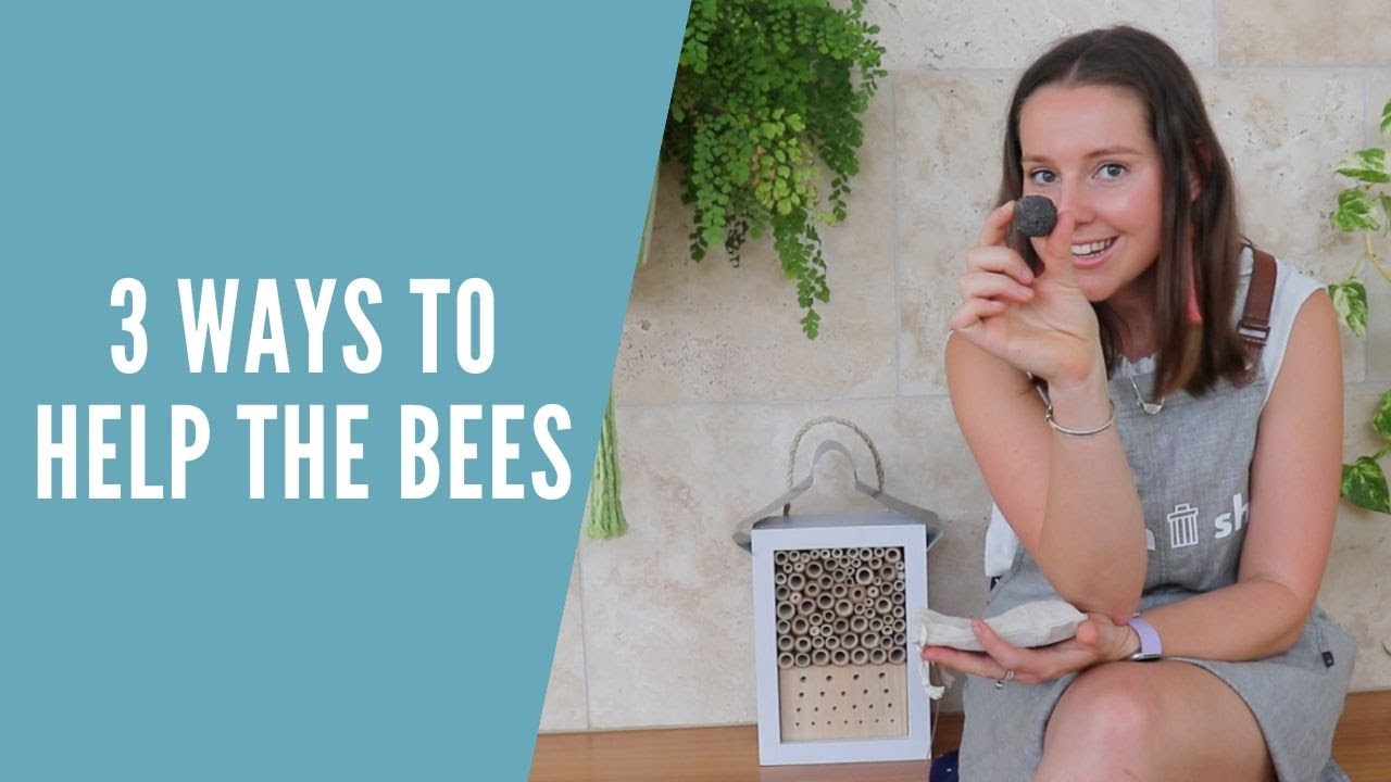 Three ways to help the bees - YouTube