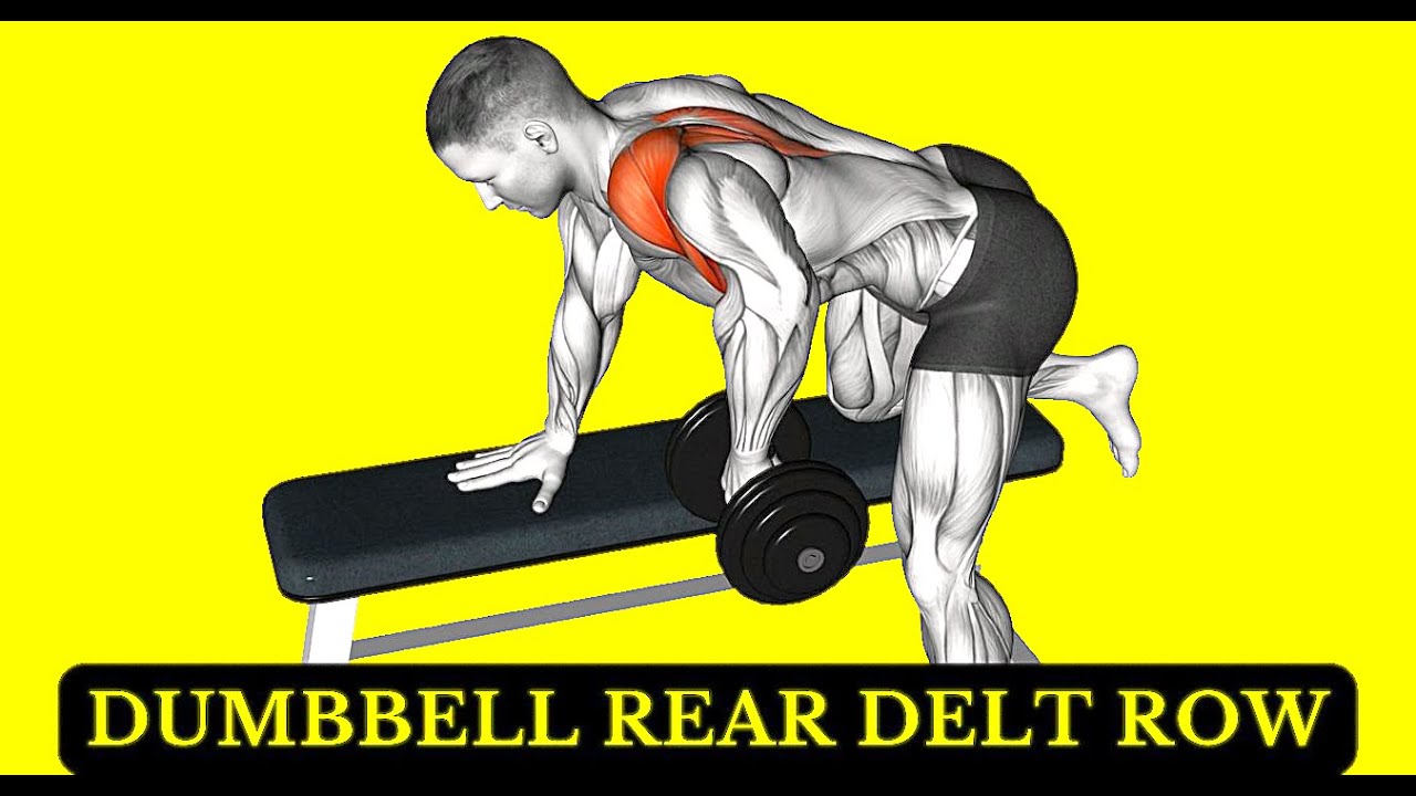 Dumbbell Rear Delt Row: Step-by-Step Tutorial for Beginners - YouTube