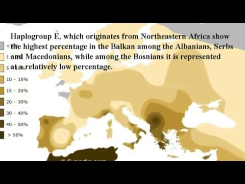 GENETICS OF BOSNIAKS - YouTube
