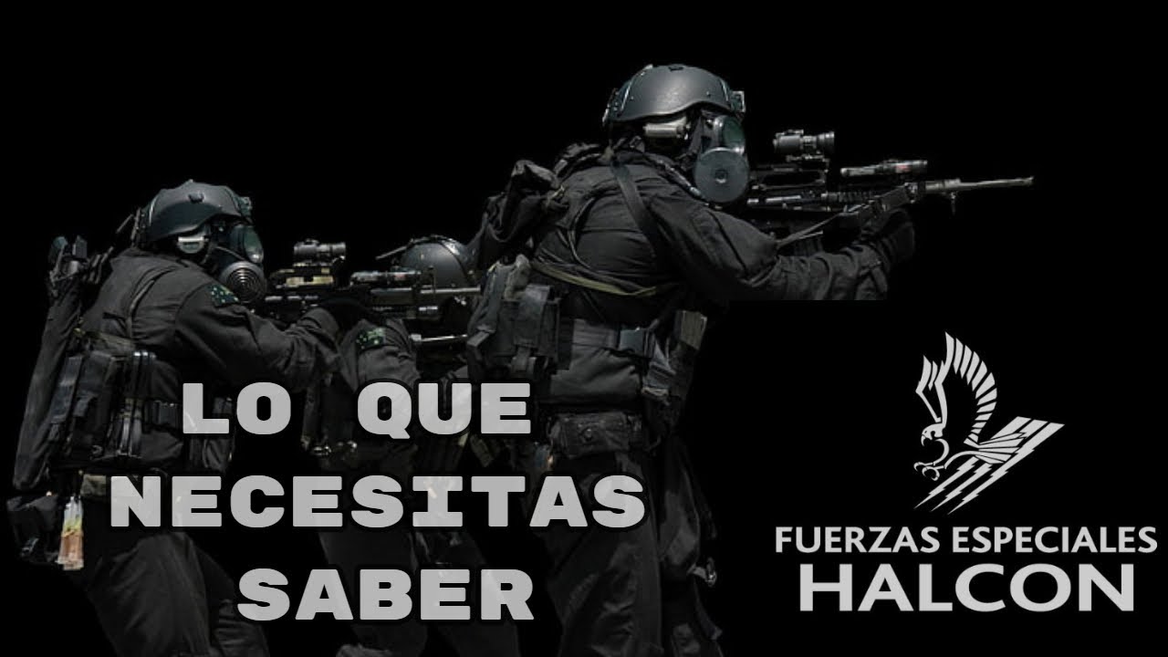 Grupo HALCÓN// TODO lo que NECESITAS SABER! - YouTube