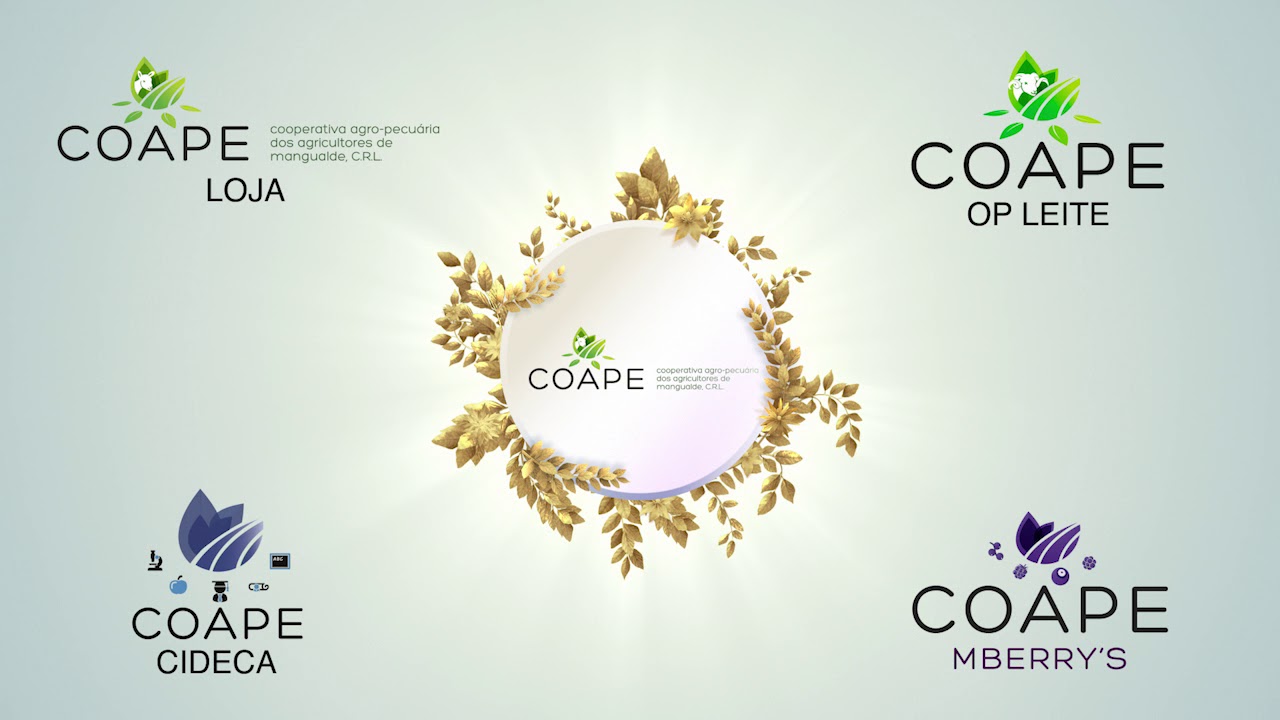 COAPE 2017 - YouTube