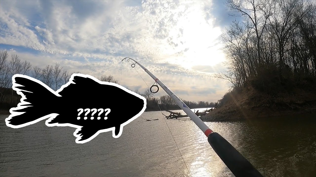 Only One type of Fish biting on the Meramec River right now..... - YouTube
