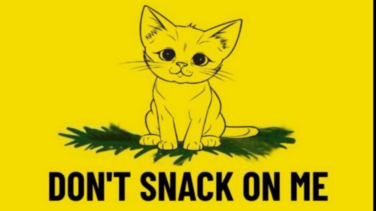 Meanwhile in Springfield Ohio 👀👀👀👀👀👀👀 - YouTube