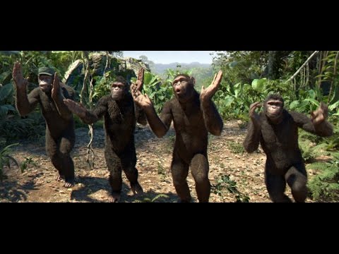 SHOCKING! CHIMPANZEES SINGING & DANCING TO BUHARI (Nigerian Music ...