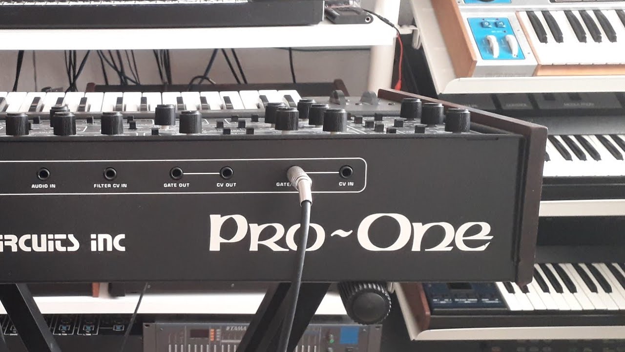 Pro-One Synthesizer "Electric Woman" - YouTube