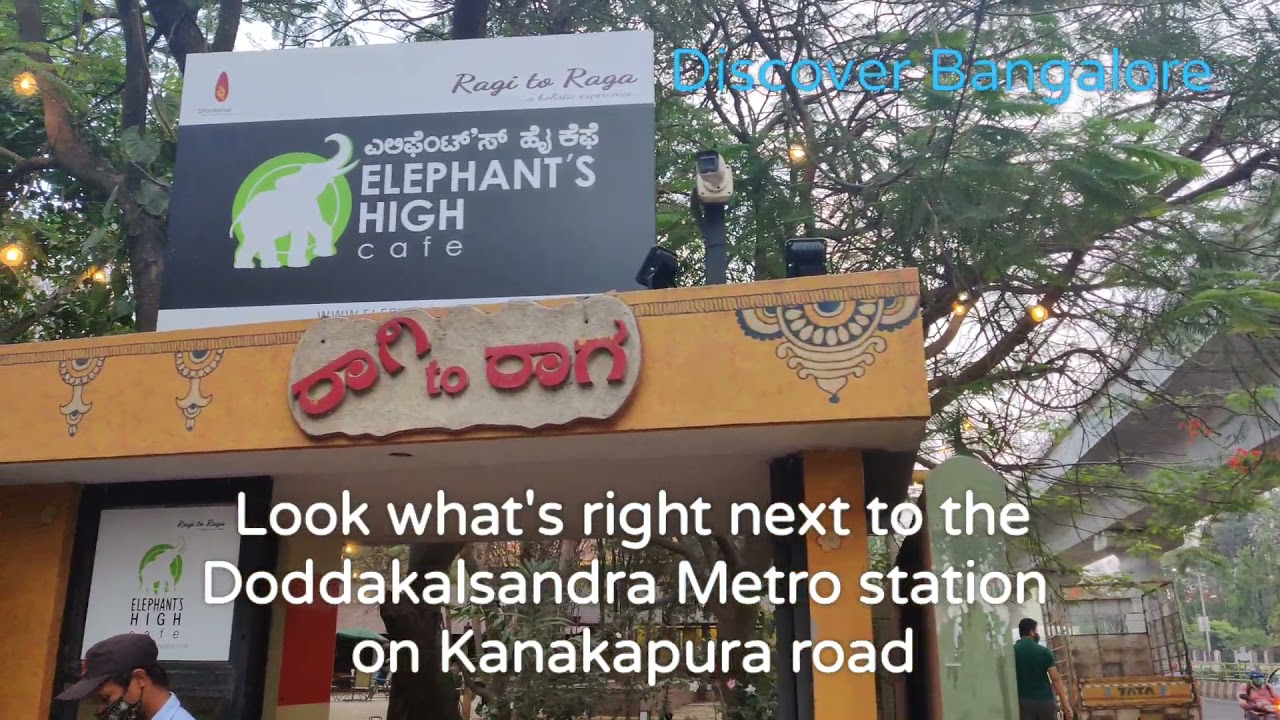 Elephant's High Cafe | Ideal for Conversations, Kitty Parties and Kiddy ...