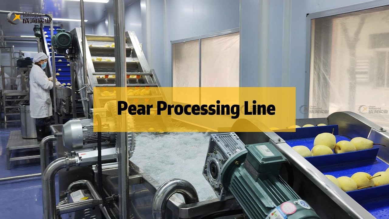2022 China Pear Juice Processing Line from Shanghai Chase - YouTube