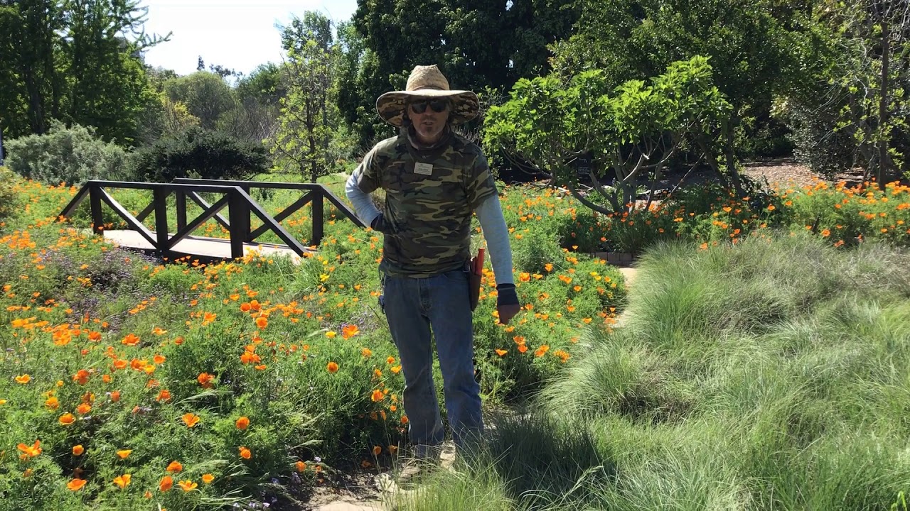 Crescent Farm mini virtual tour - YouTube