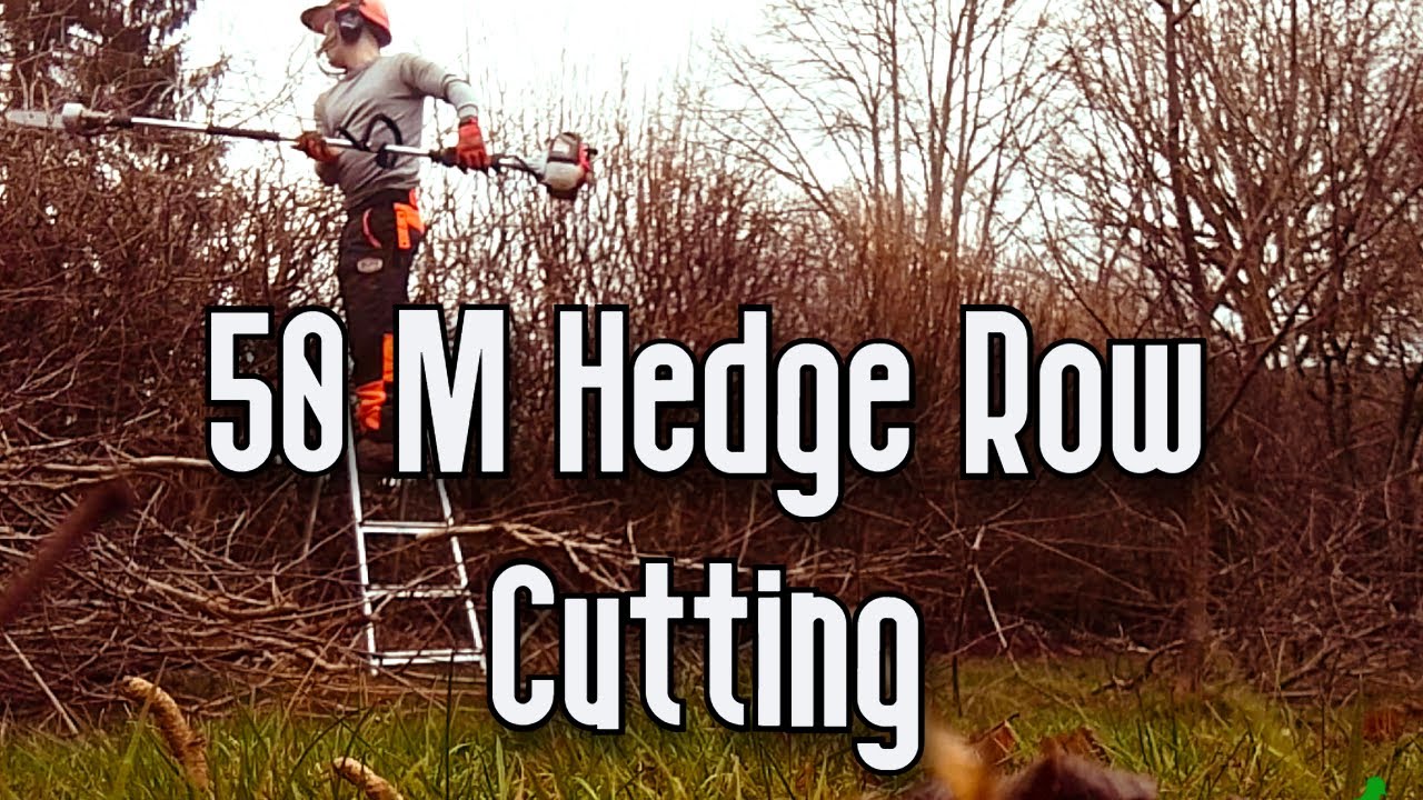 Hedge Row Cutting Techniques #hedgetrimming #timelapse - YouTube