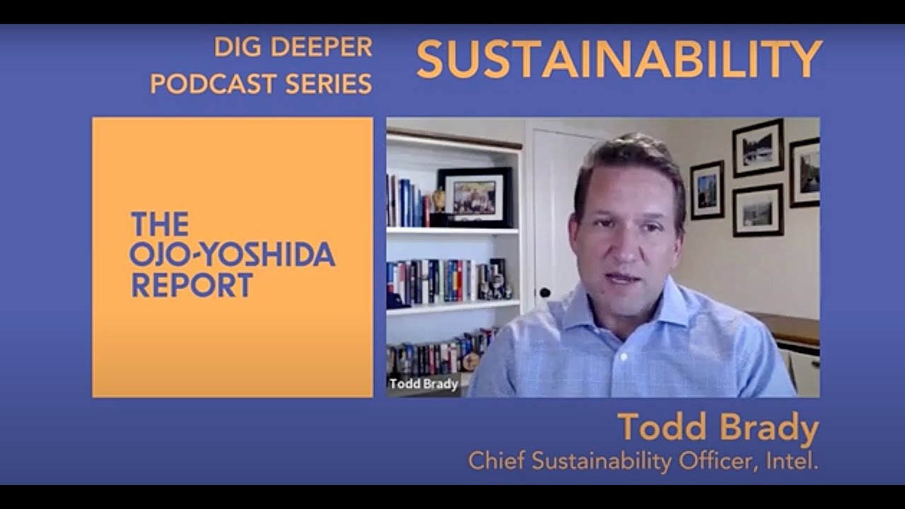 Sustainability podcast: Todd Brady Episode 3 - YouTube