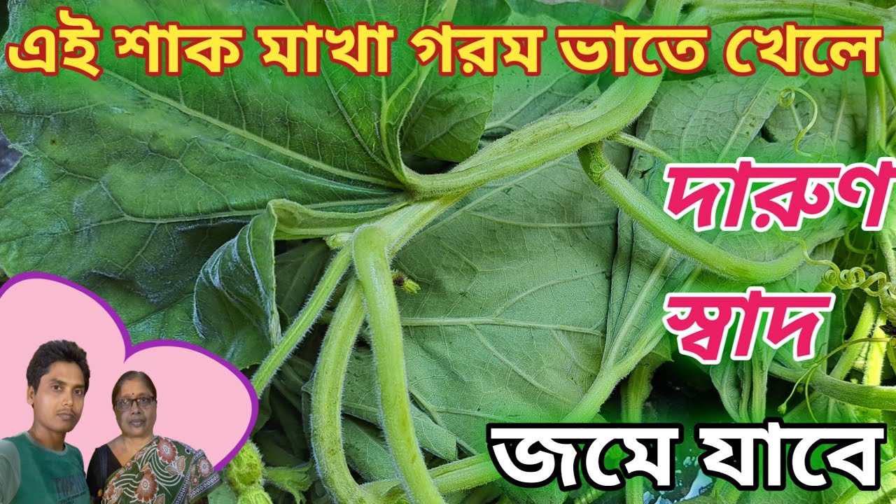 lau pata makha|lau shak ranna|lau shak makha|lau pata recipe in bengali ...