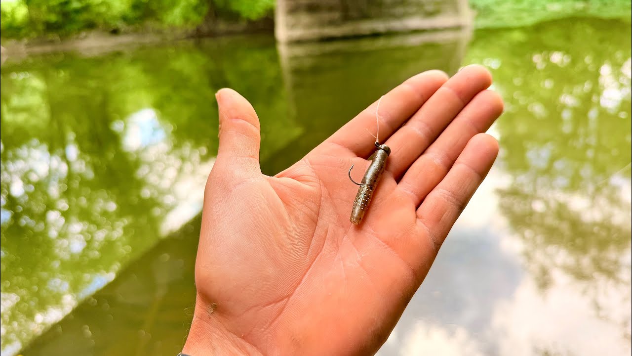 This Micro Ned Caught Bass And Musky!!! (Middle Creek Bank Fishing ...