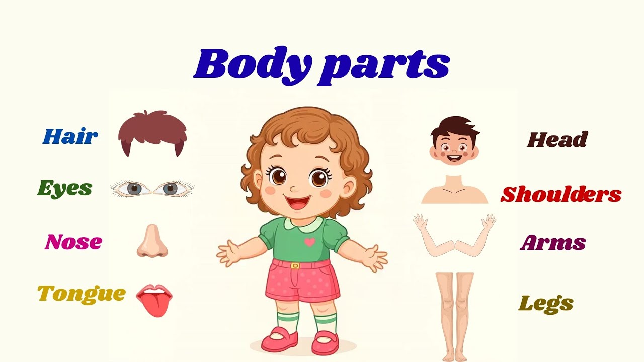 Body Parts Song for Kids 👶 | Head, Eyes, Ears, Nose & More 👂👀👃 ...