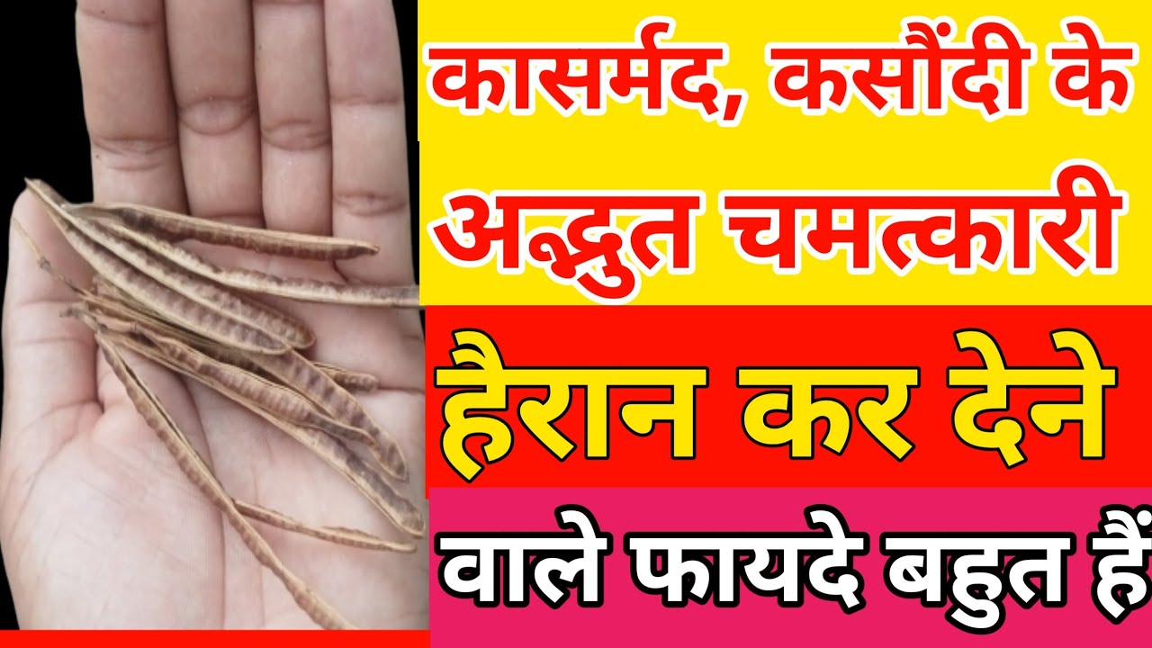 what is the benefits of kasamarda plant? what is the english name for ...