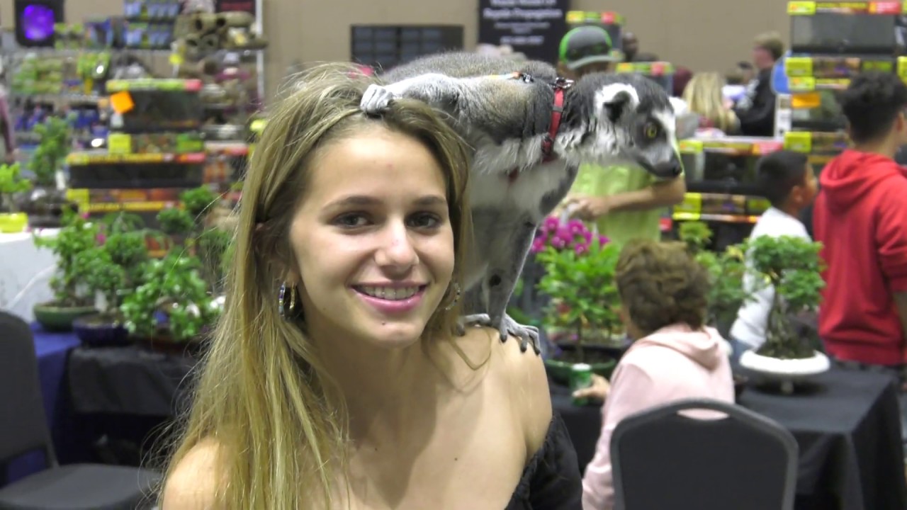 LITTLE WONDERS OF THE PALM BEACHES EPISODE 6 2020 ROUGH CUT - YouTube