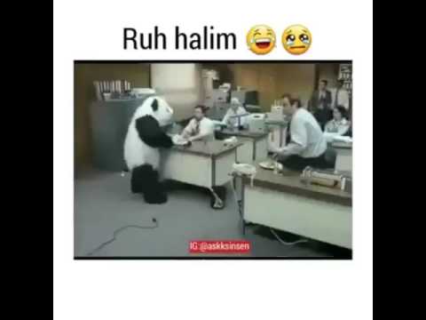 Ruh halim