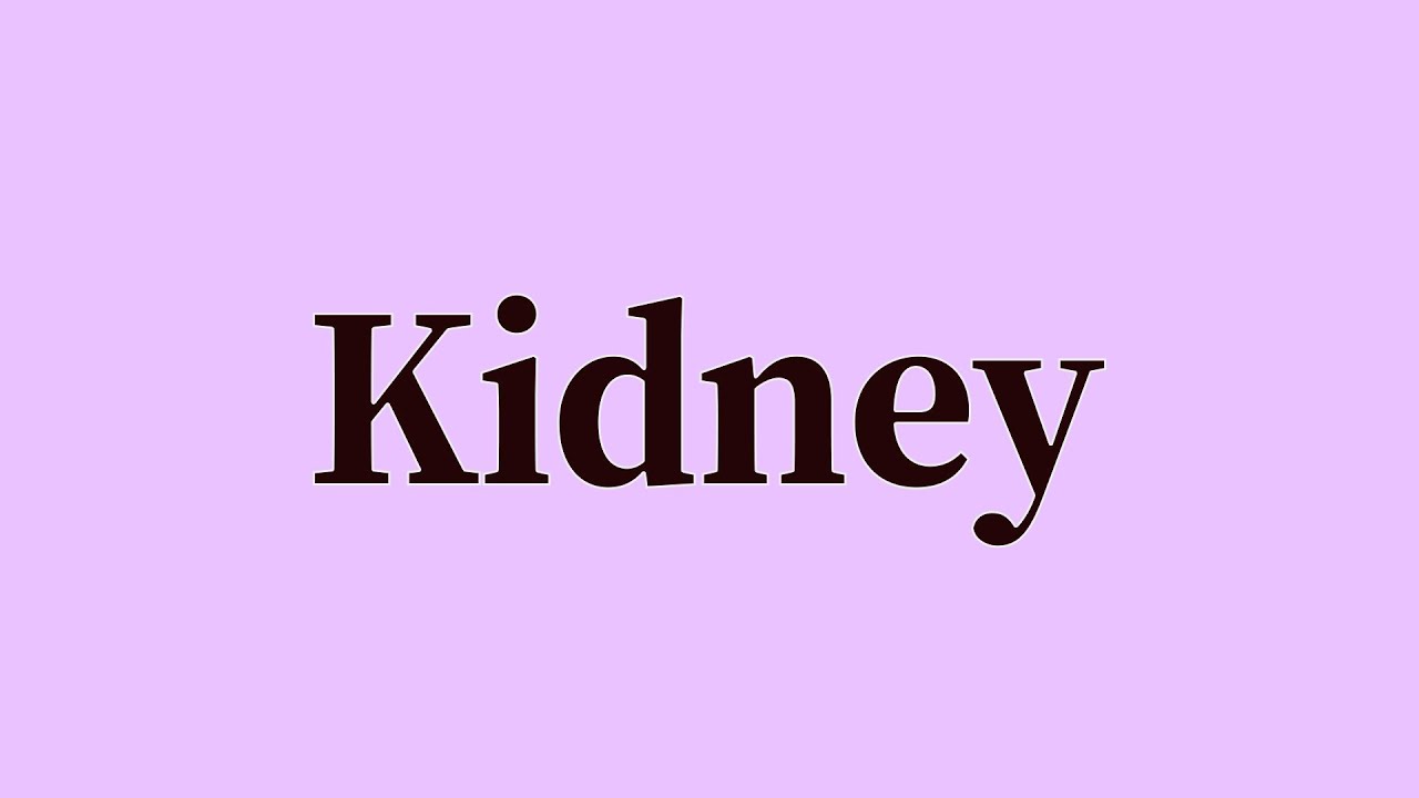 Kidney Pronunciation and Meaning - YouTube