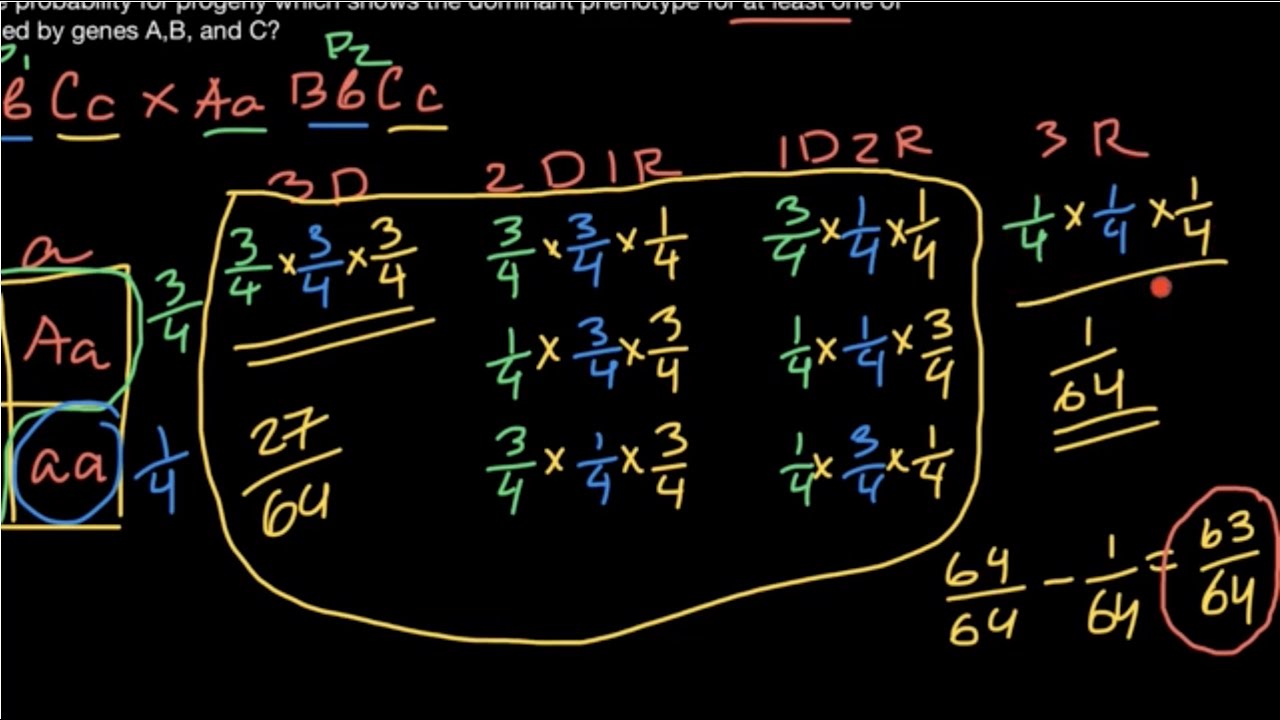 How to solve probability problems in Genetics - YouTube