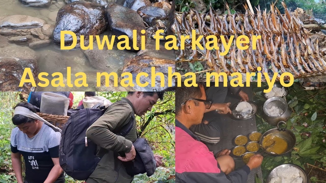 Himalayan trout fishing Asala machha duwali farkayer baball mariyo day ...