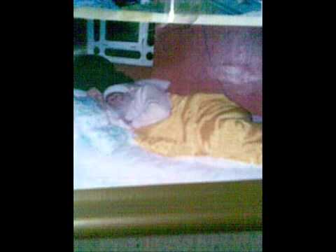 Beyda 1 Medet Ya Şahı Seydayi