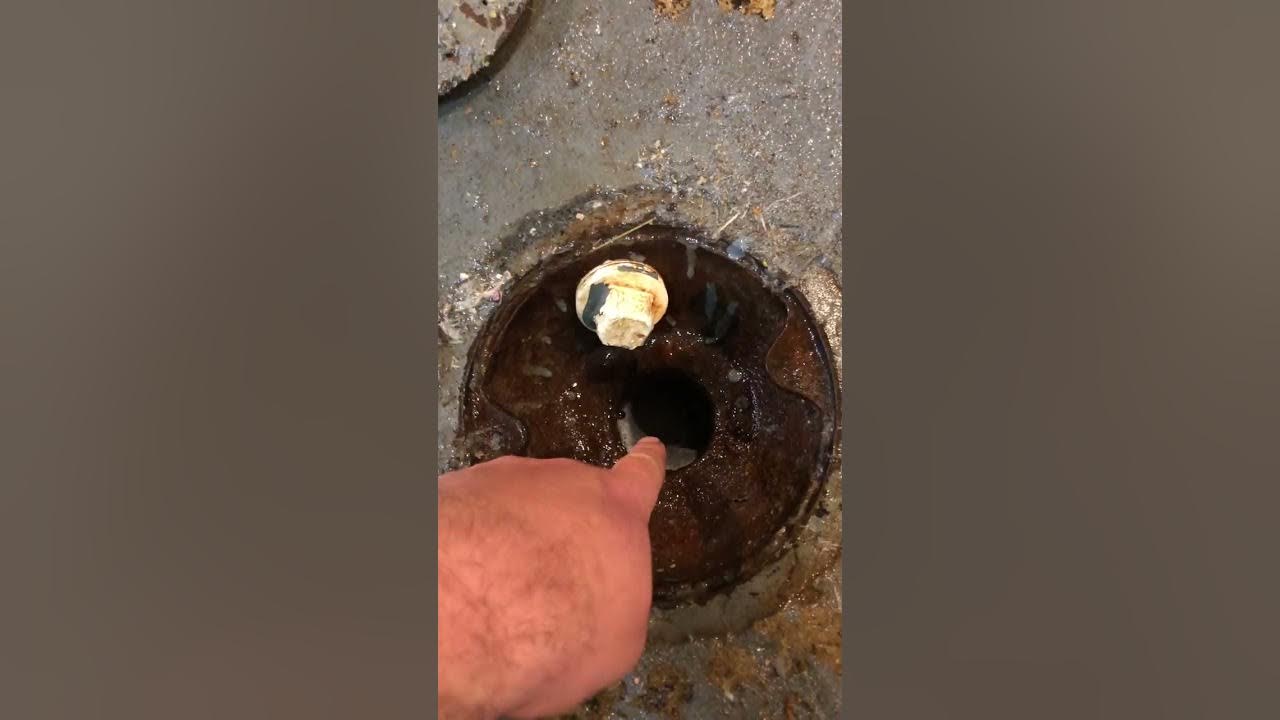 How to unclog a basement floor drain - YouTube
