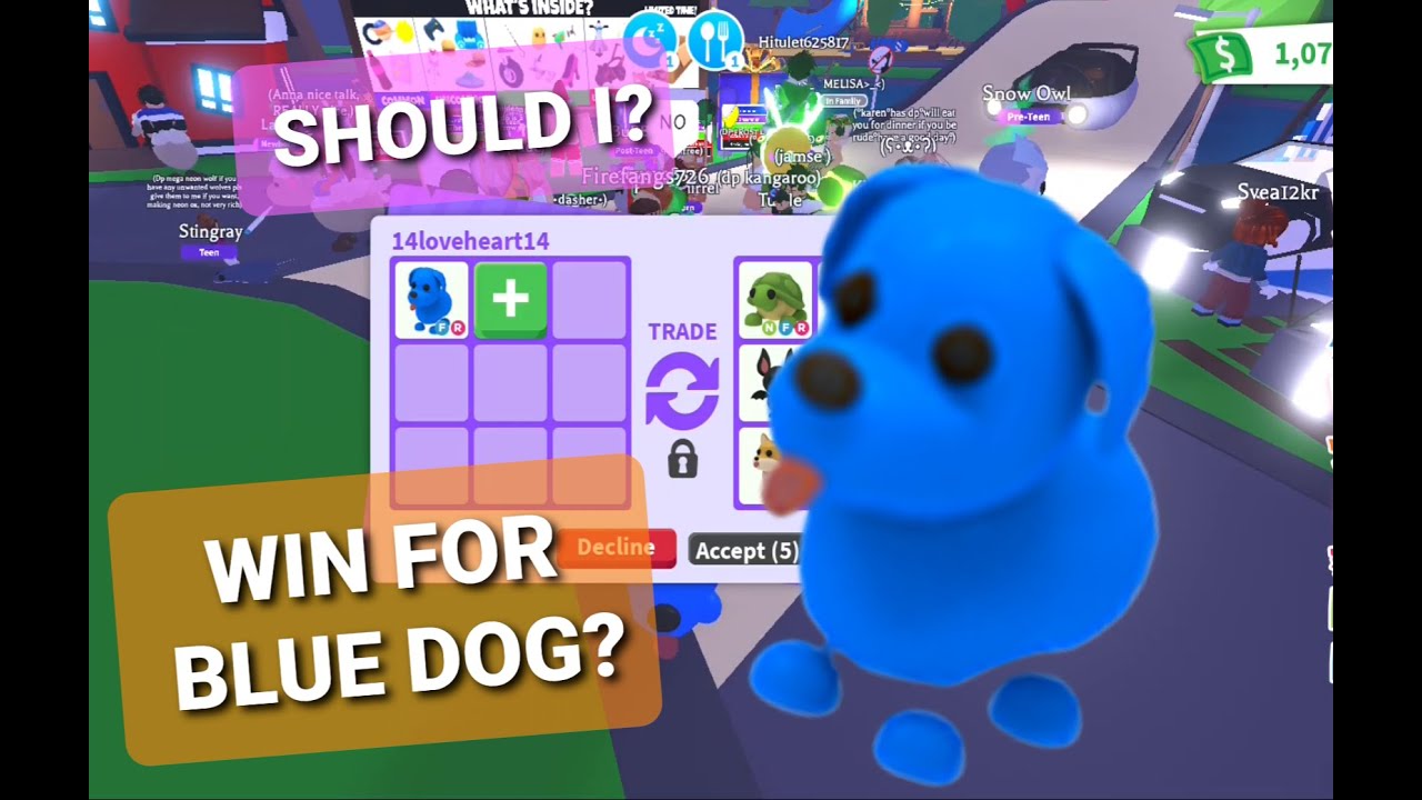 What People Offer for BLUE DOG *FIRST PET* In Adopt Me - Roblox - YouTube