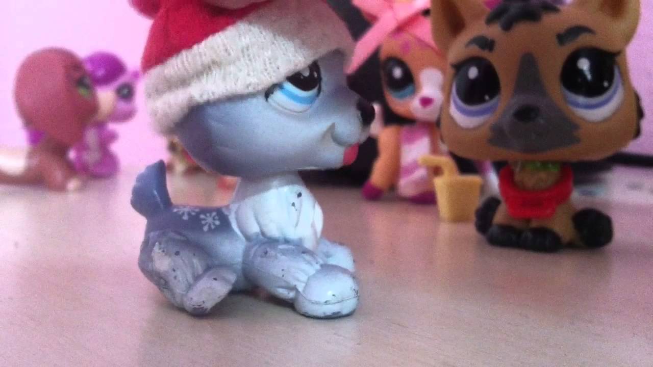 LPS Most Popular Girls In School New Years special - YouTube