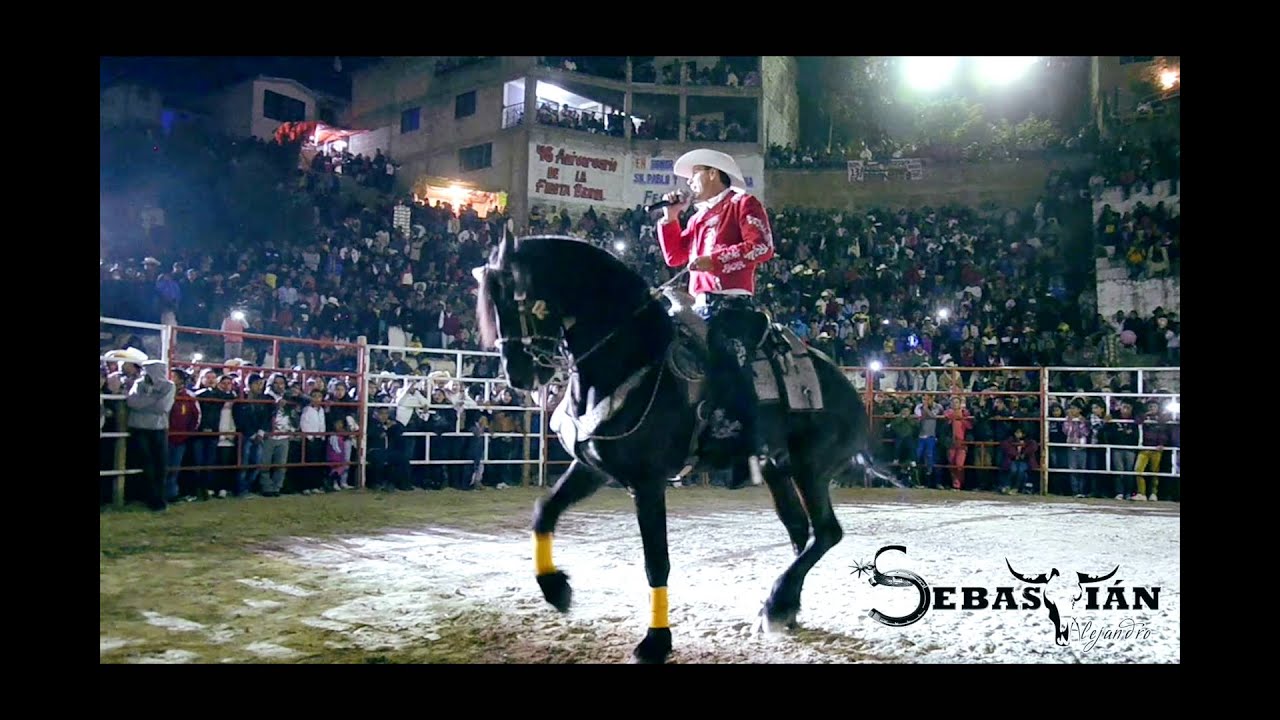 Whisky o cerveza - Sebastian Alejandro - YouTube