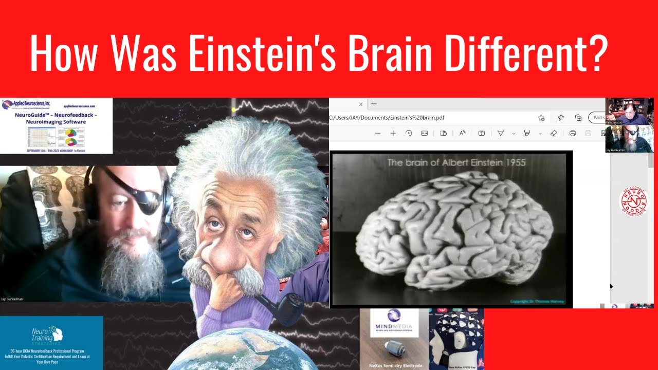 How Was Einstein's Brain Different? - YouTube