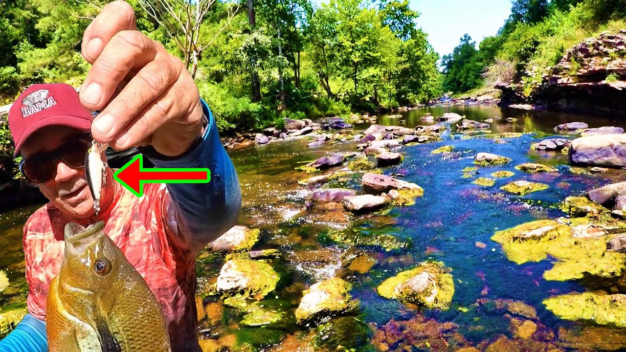 INCREDIBLE Creek Fishing! The ONE Lure That Catches Them ALL!!! - YouTube