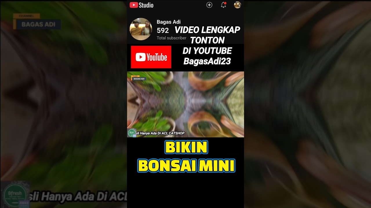 BIKIN BONSAI MINI DOLLAR MICRO part1 #bonsai #bonsaidollar #bonsaimini ...
