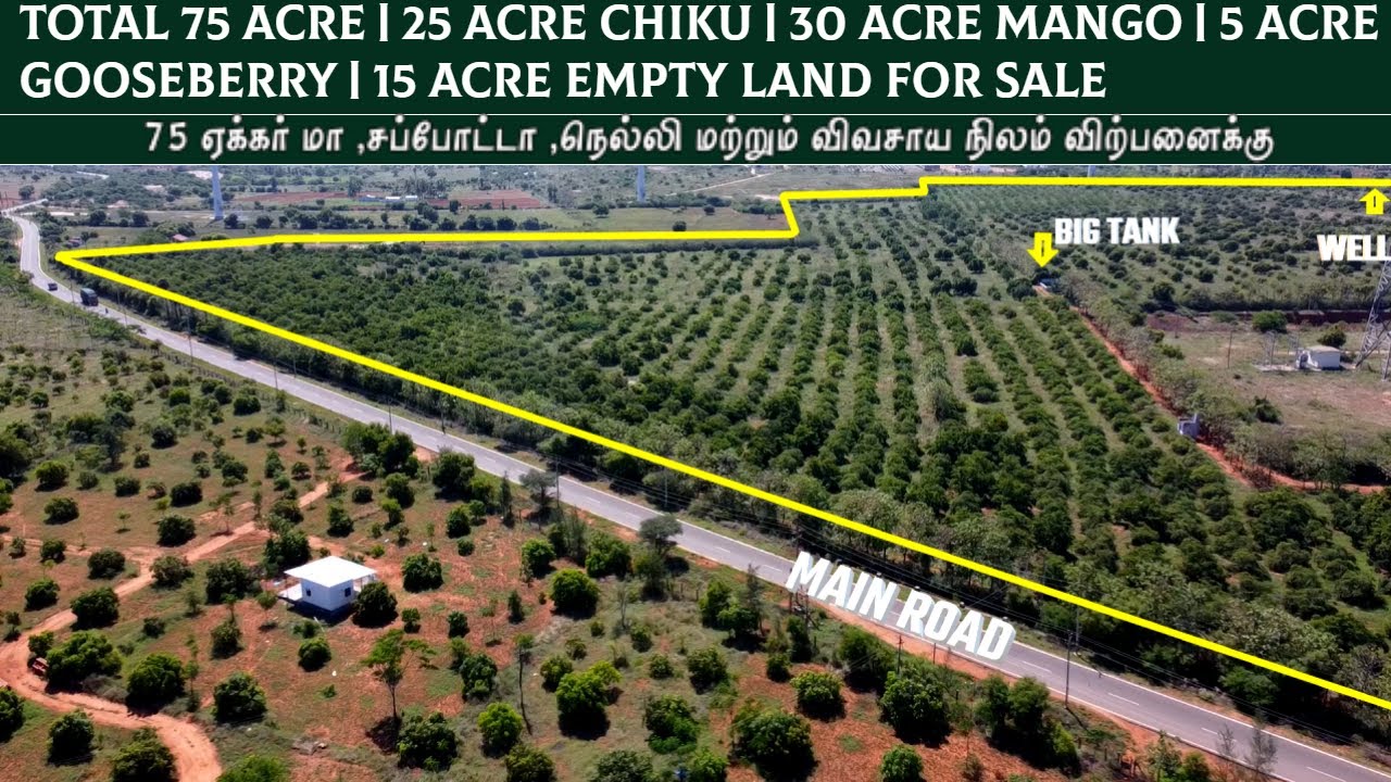 15 lakhs(negotiable)|Total 75 Acre |30 Acre Mango Trees|5 Acre ...