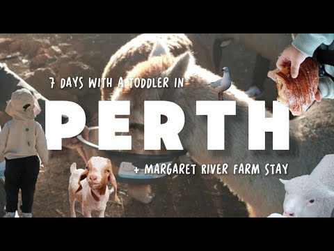 7 days in PERTH 🇦🇺 & Margaret River Farm Stay 🦙🦘🐑  with a train-obsessed toddler 🚂