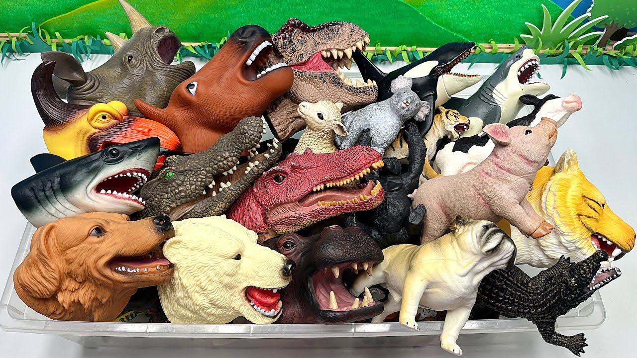 Animal Box Is Full - Dog Shark Tiger Pig Animal toy For Kids | Fun ...