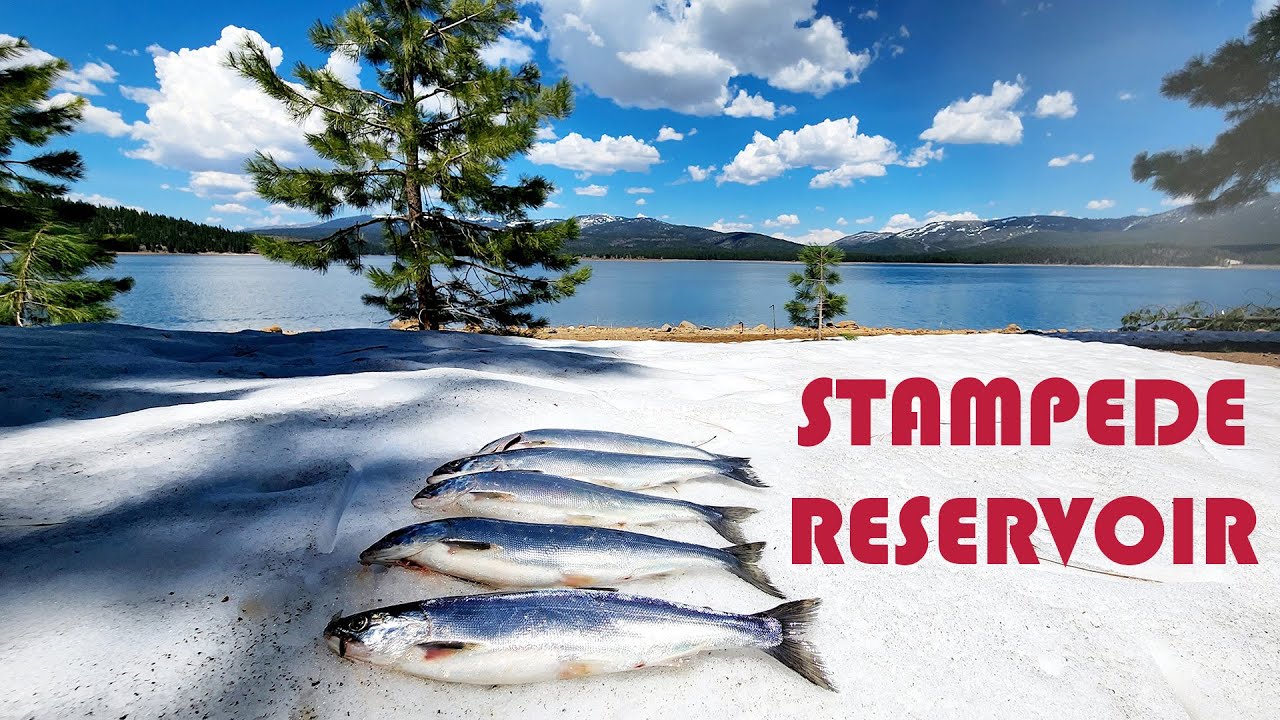 Stampede Reservoir