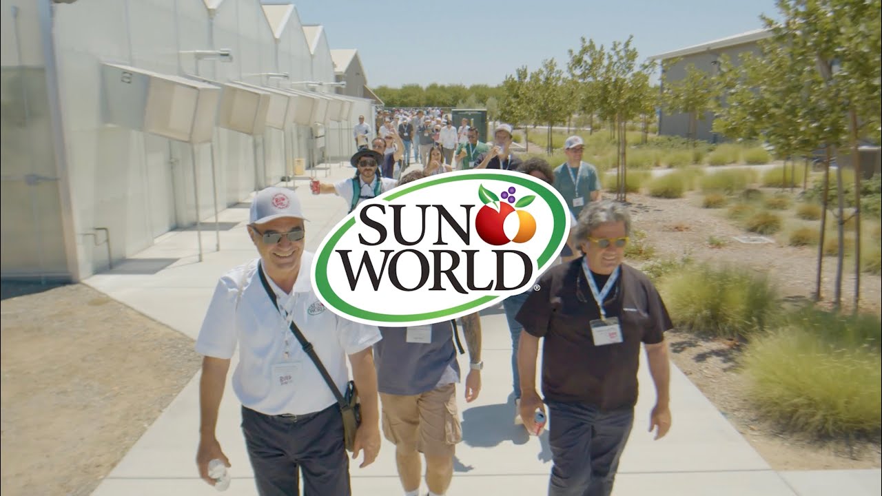 Sun World 2023 July Field Day - YouTube