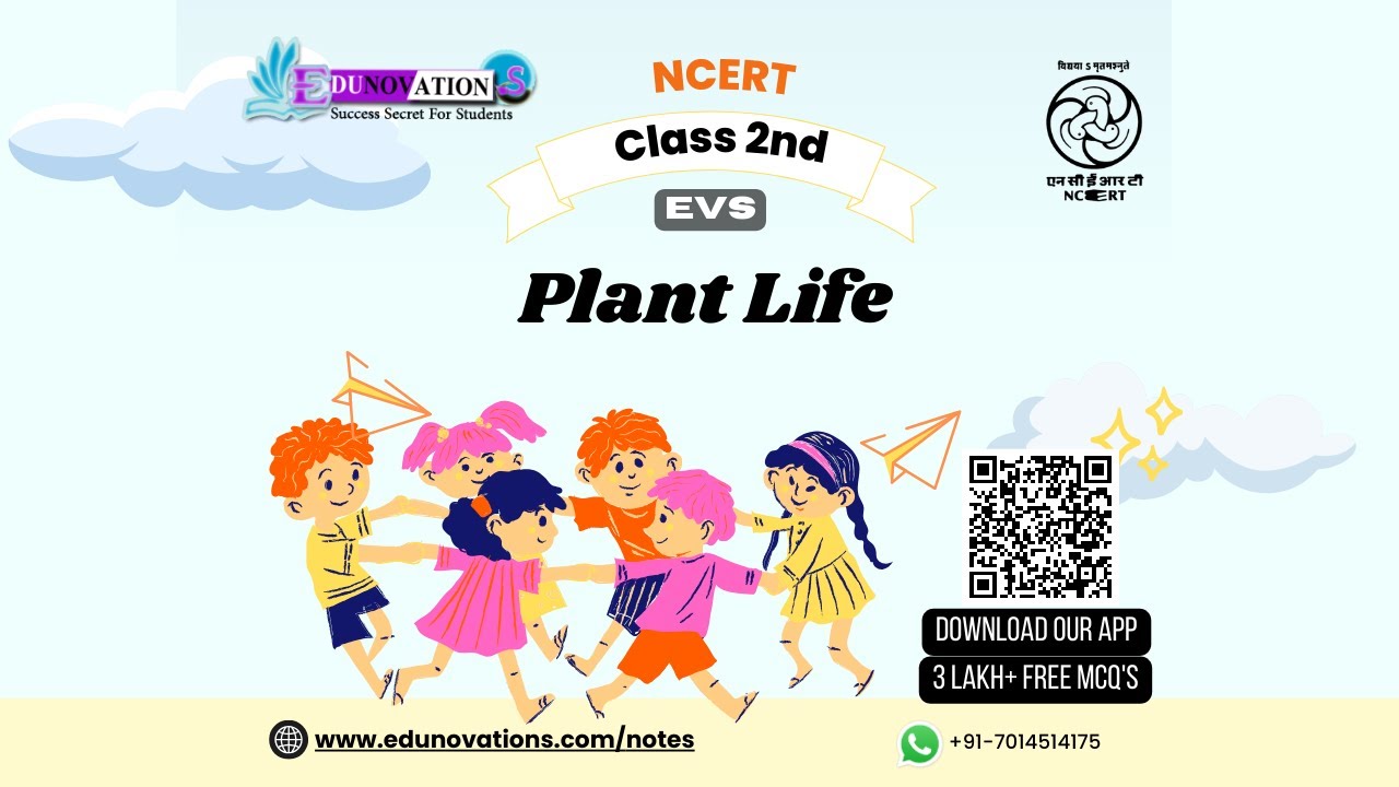 Plant Life | NCERT Class 2 EVS - YouTube